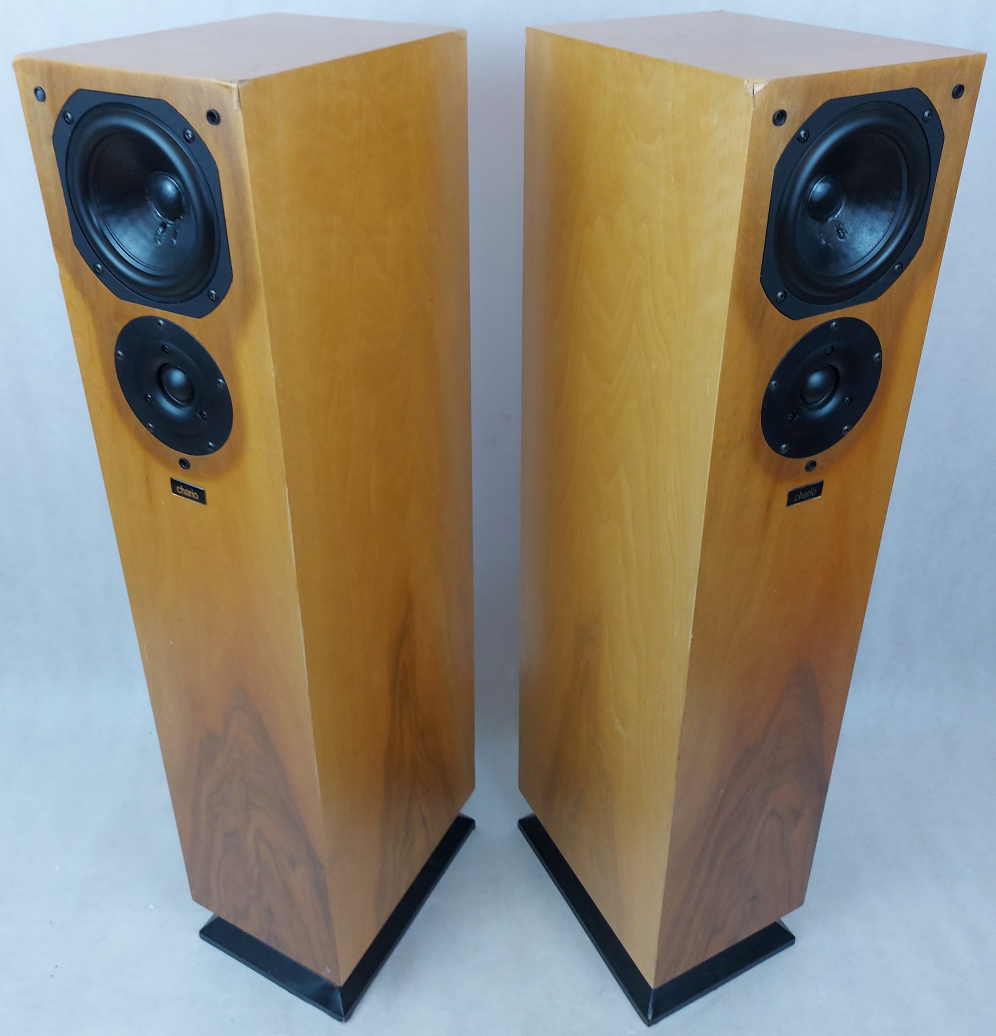 Chario Syntar 100 Tower – DN Audio
